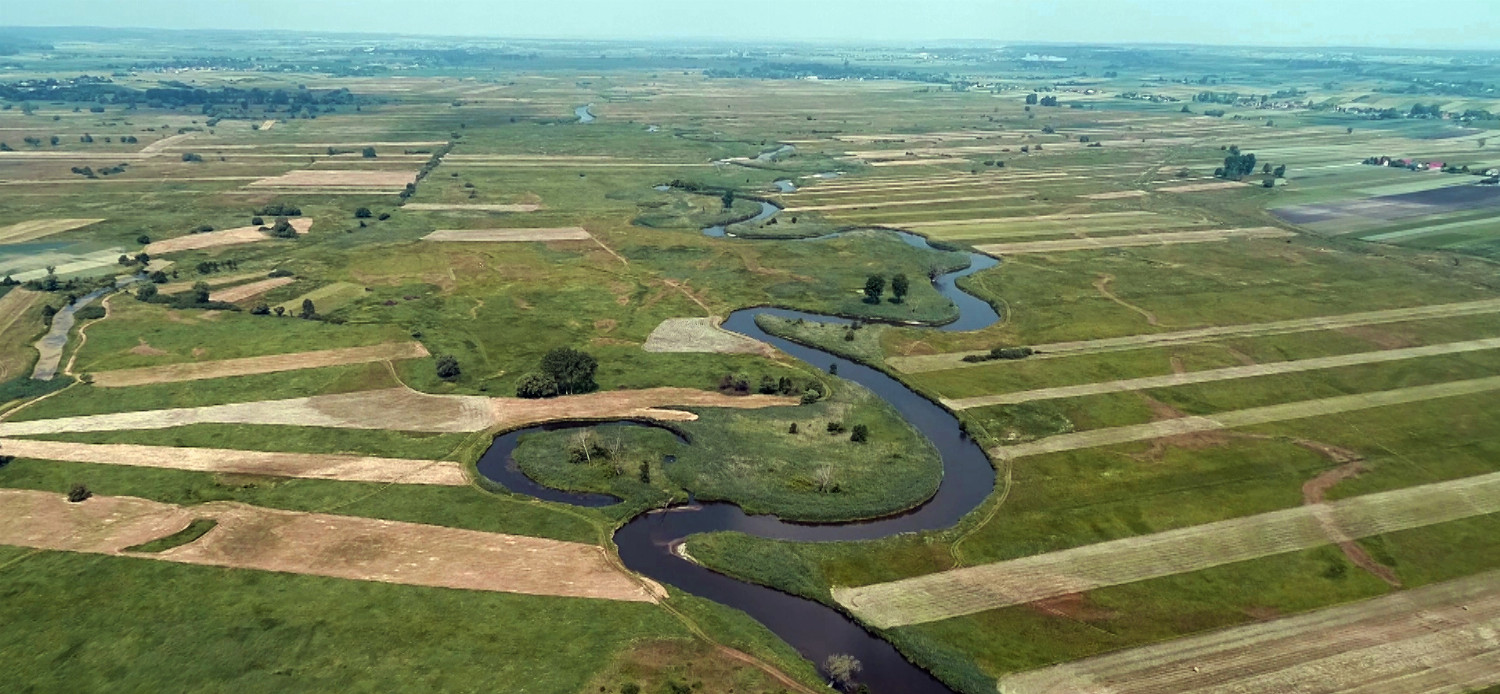 Delta rzeki Nidy odzyskuje unikalne walory przyrodnicze - Urząd ...